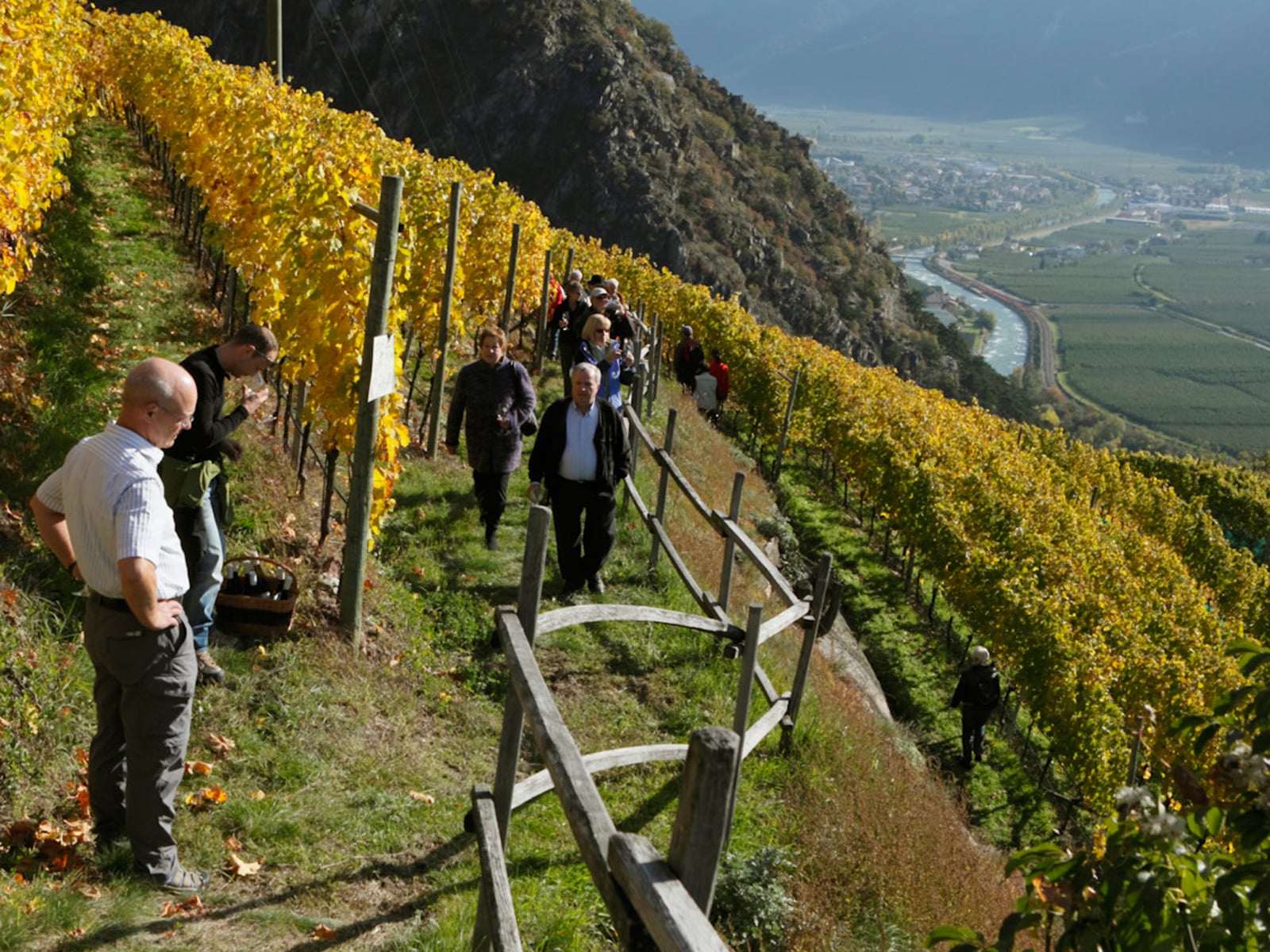 Guided tours in the estate and Wine Tasting - Winery & Distillery ...