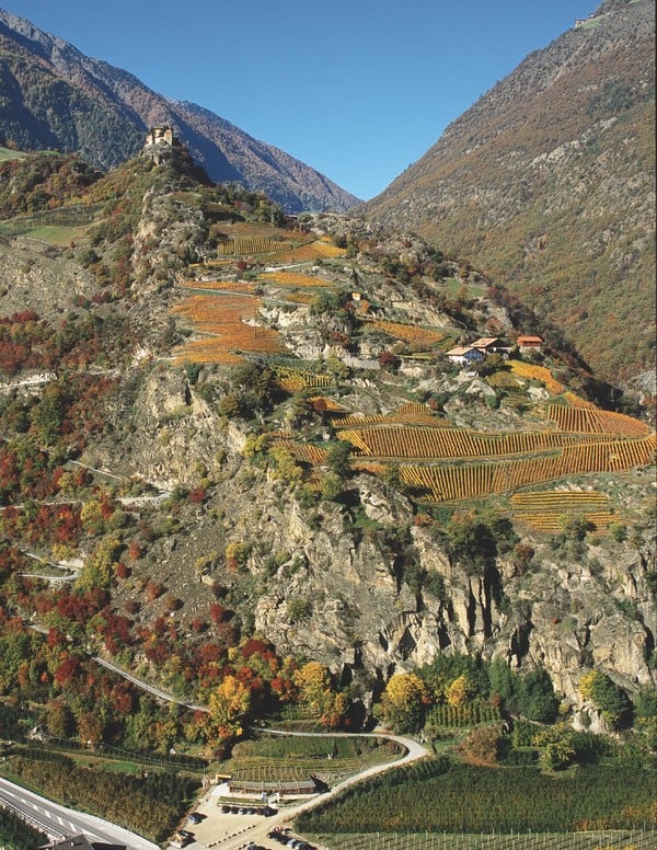 Farm Winery and DistilleryFarm Winery and Distillery - Winery ...